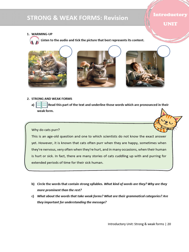 revision_strong_and_weak_forms_2025_version | PDF | Linguistic Morphology | Grammar