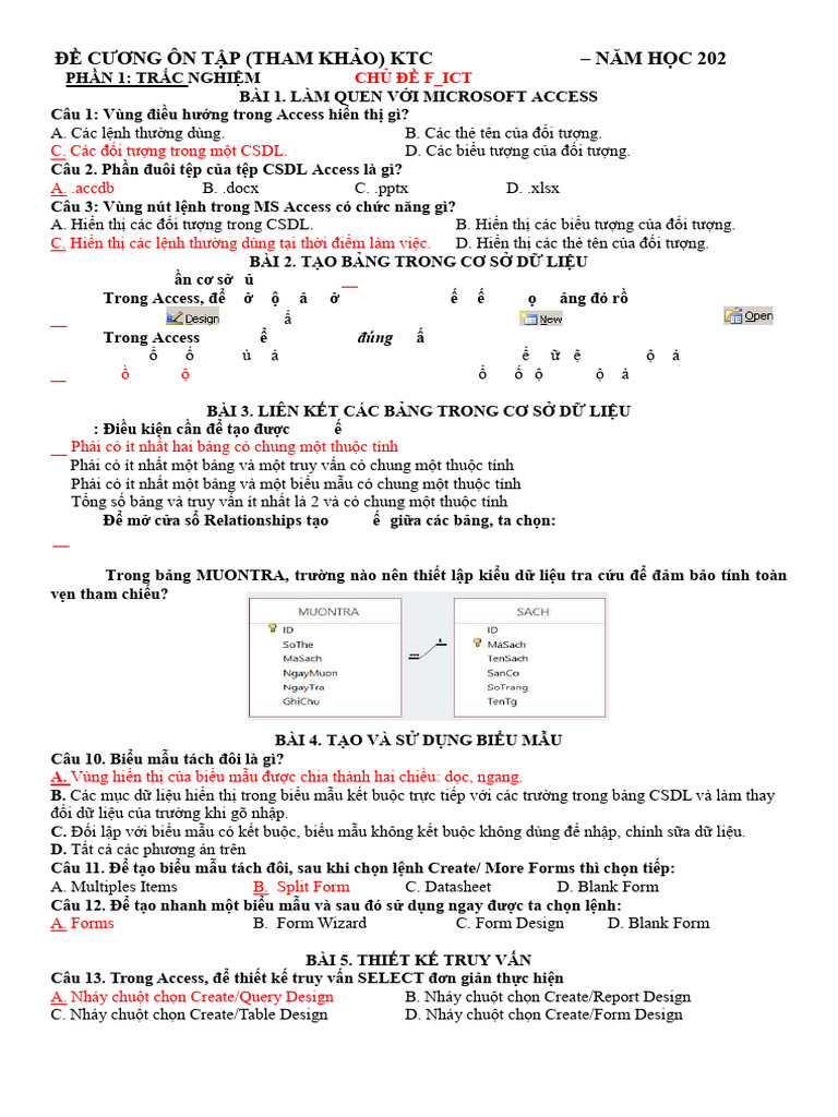 Dctin11 Ck2!24!25 Hs Dap An | PDF