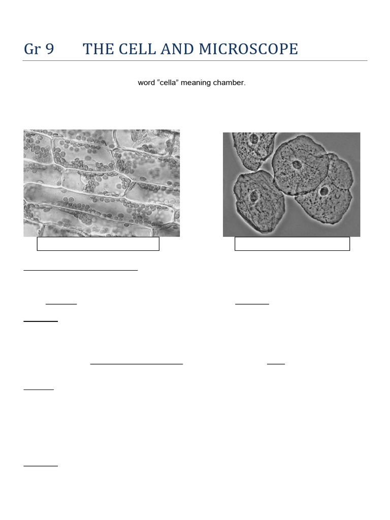 GR 9 THE CELL AND MICROSCOPE | PDF | Cell (Biology) | Vacuole