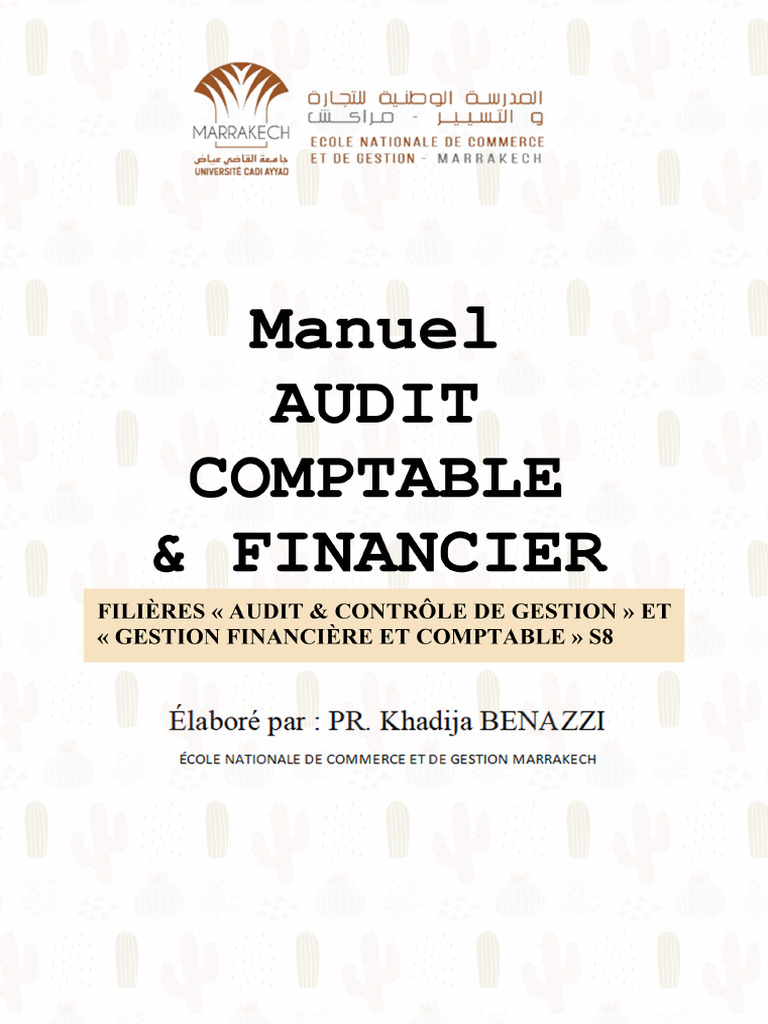 Manuel D'audit Comptable Et Financier | PDF | Audit | Audit financier