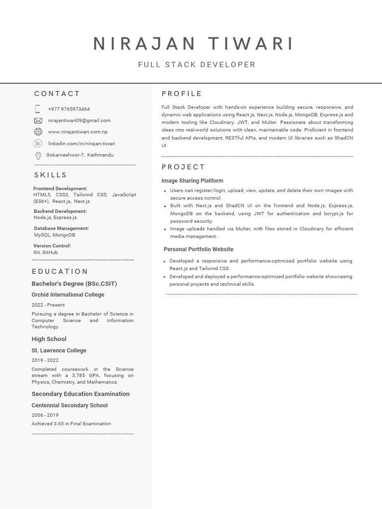 Minimalist White and Grey Professional Resume | PDF | Websites | Computing