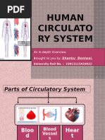Class 10 Circulatory System Detailed Notes | PDF | Heart | Artery