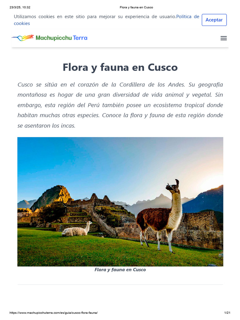 Flora y fauna del Cusco | PDF | Osos | Imperio Inca