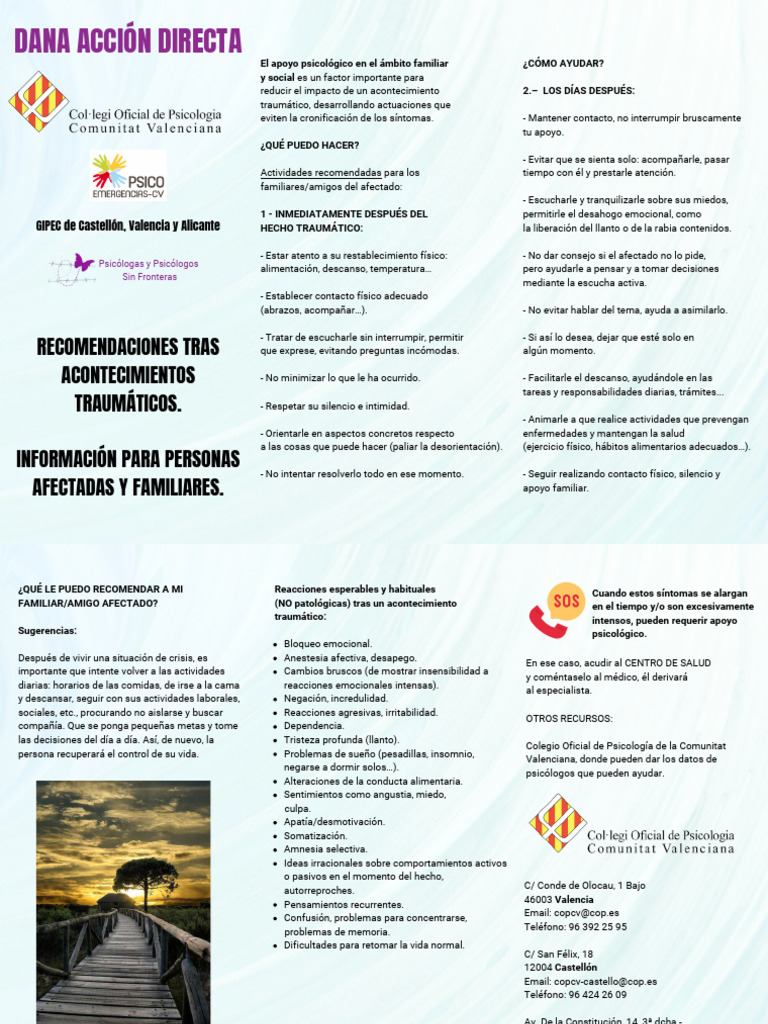 Web Dana Acci N Directa 2 | PDF | Pesadilla | Sicología