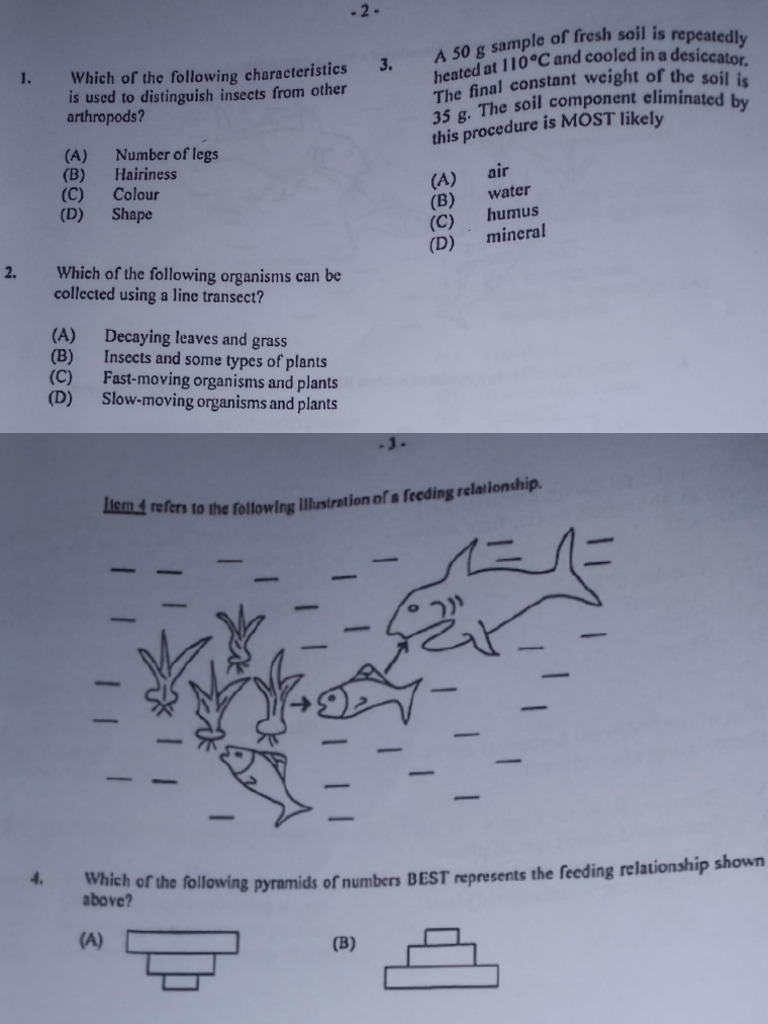 Bio Jan Paper 1 2025 | PDF