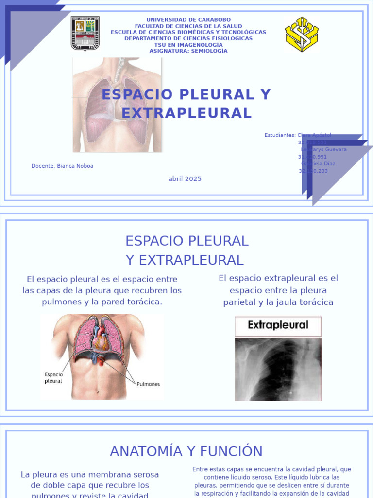 Espacio Pleural y Extrapleural | PDF | Tórax | Pulmón