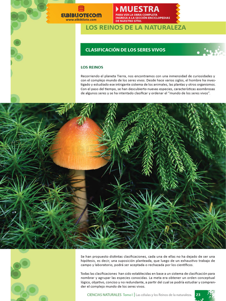 01_027_029_ciencias_naturales_la_celula_y_los_reinos_de_la_naturaleza ...