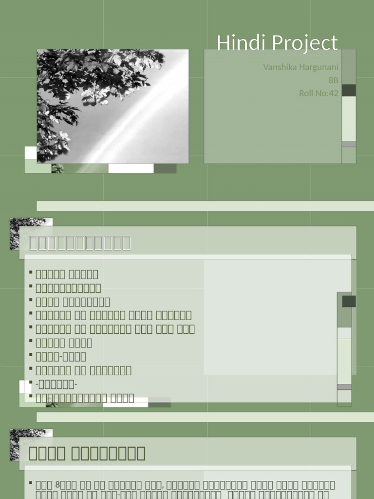 Hindi Project | PDF