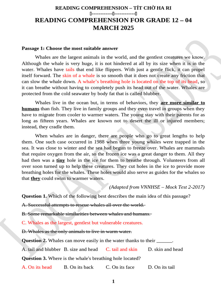Whale Reading Comprehension Passage | PDF | Whales | Sea