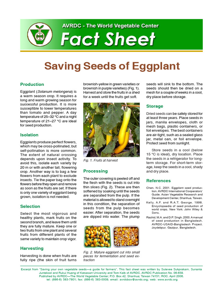 f0035 | PDF | Eggplant | Plants