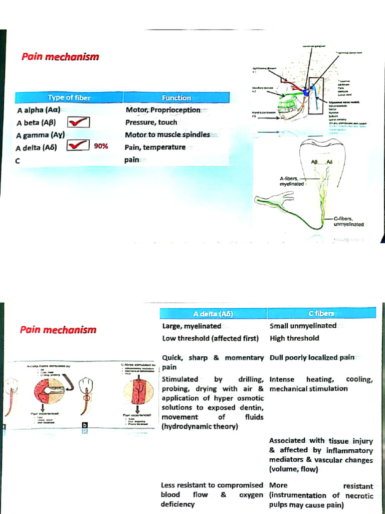 Pain Control | PDF