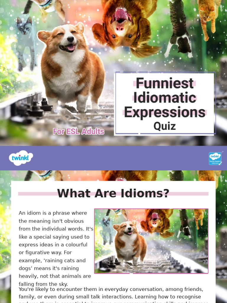 T 1724757580 Esl Funniest Idiomatic Expressions Quiz Adults b1 b2 Ver 1 ...