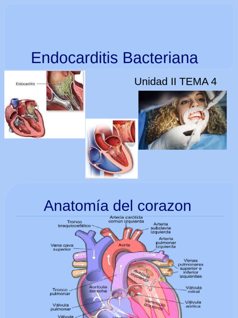 Endocarditis Bacteriana | PDF | Microbiología | Medicina