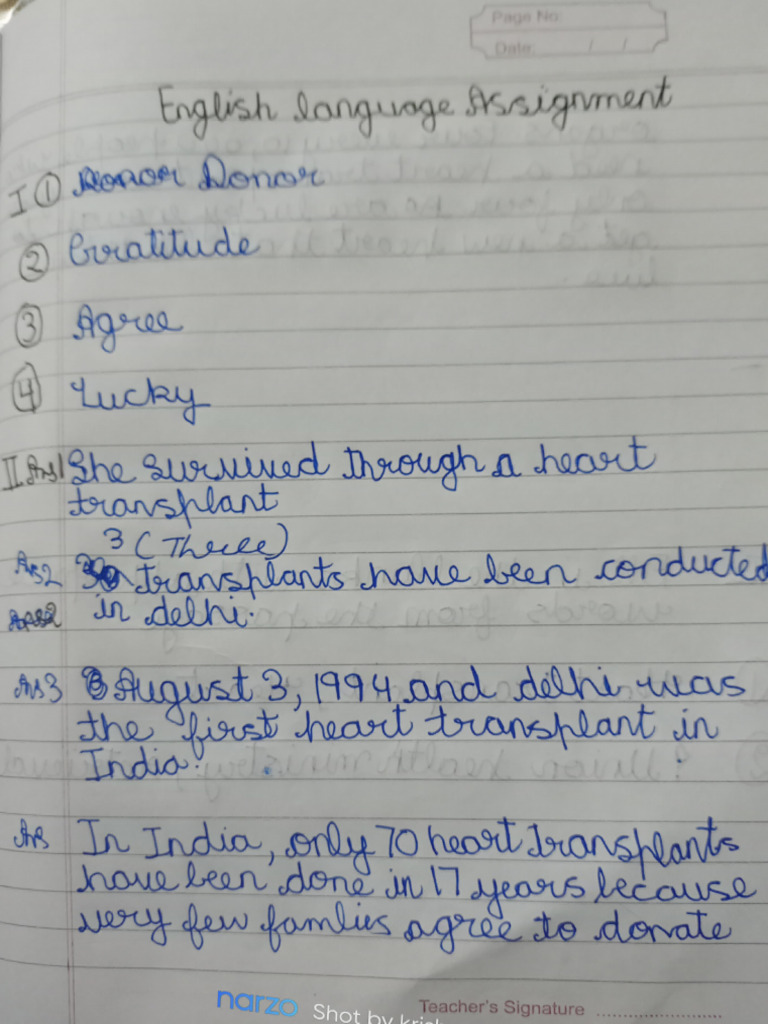 Language Assignment Krishna | PDF