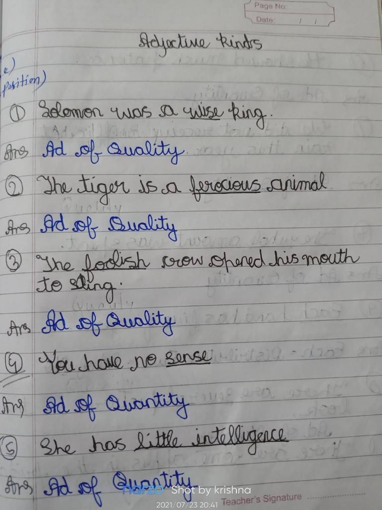 Language Assignment Krishna GUMBER | PDF