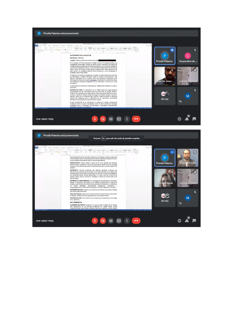 Peritaje Social | PDF