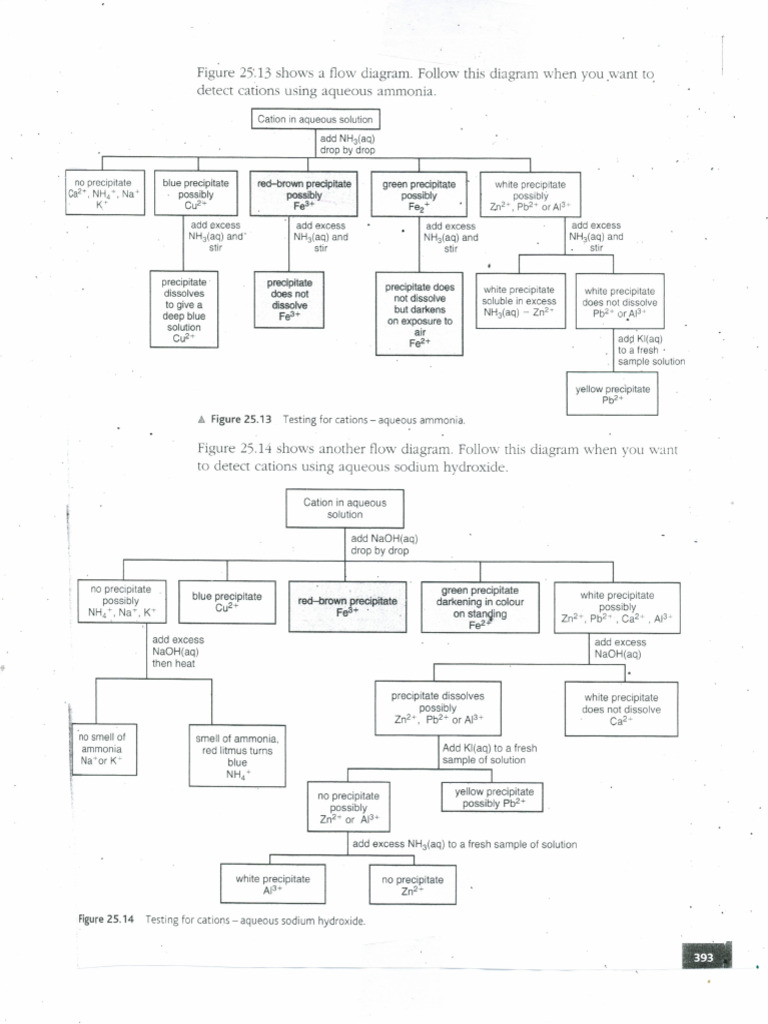 Chemistry CATIONS in Aqueous Solution | PDF