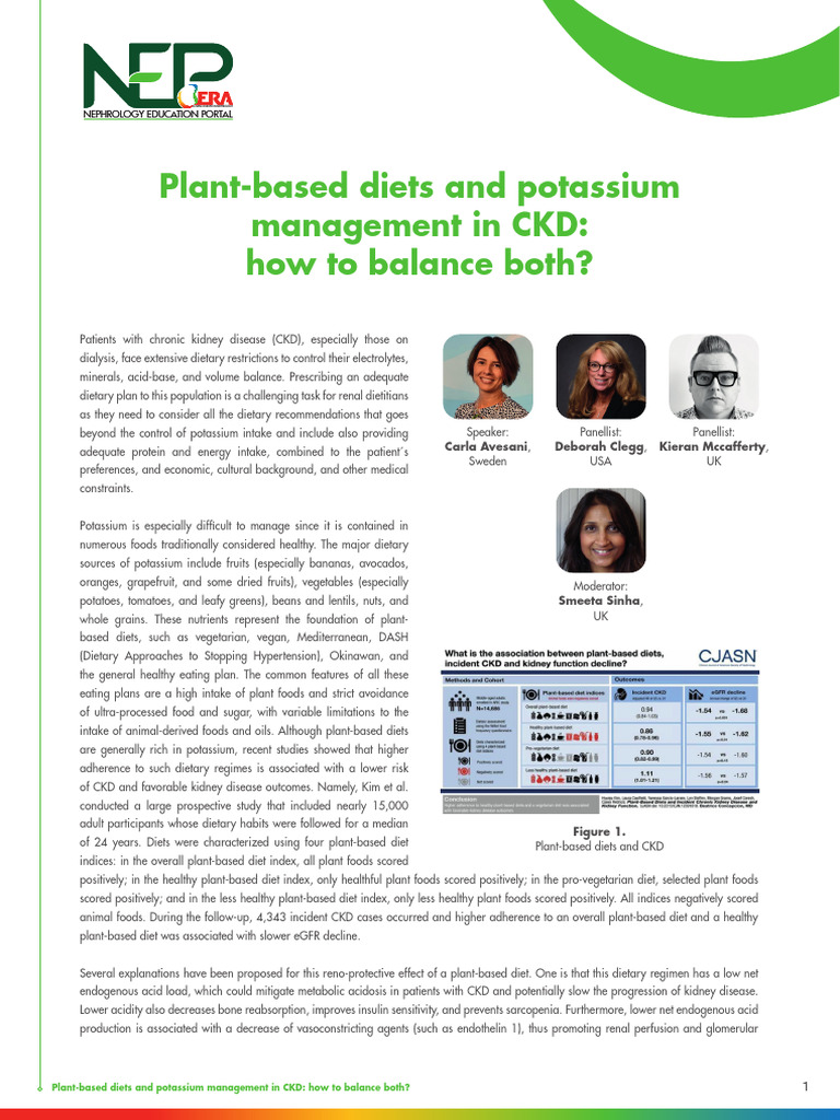 NEP Summary Report 4 Plant Based Diets and Potassium Management in CKD ...