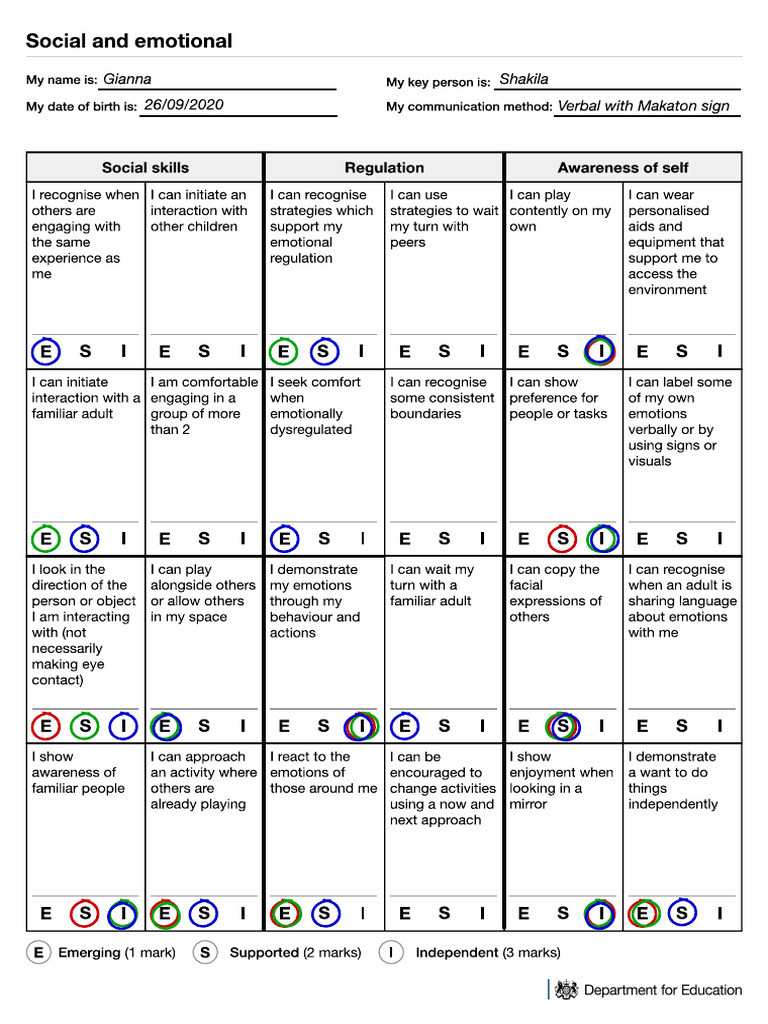 Social and Emotional Example | PDF | Communication | Behavioural Sciences