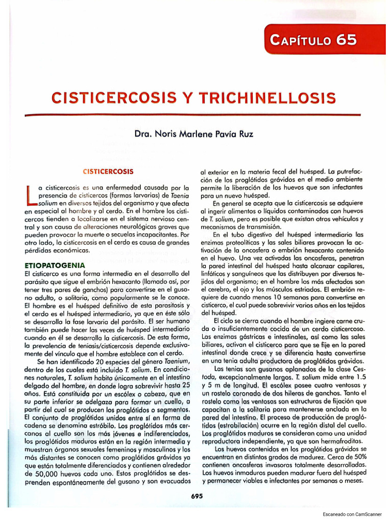 Cisticercosis | PDF
