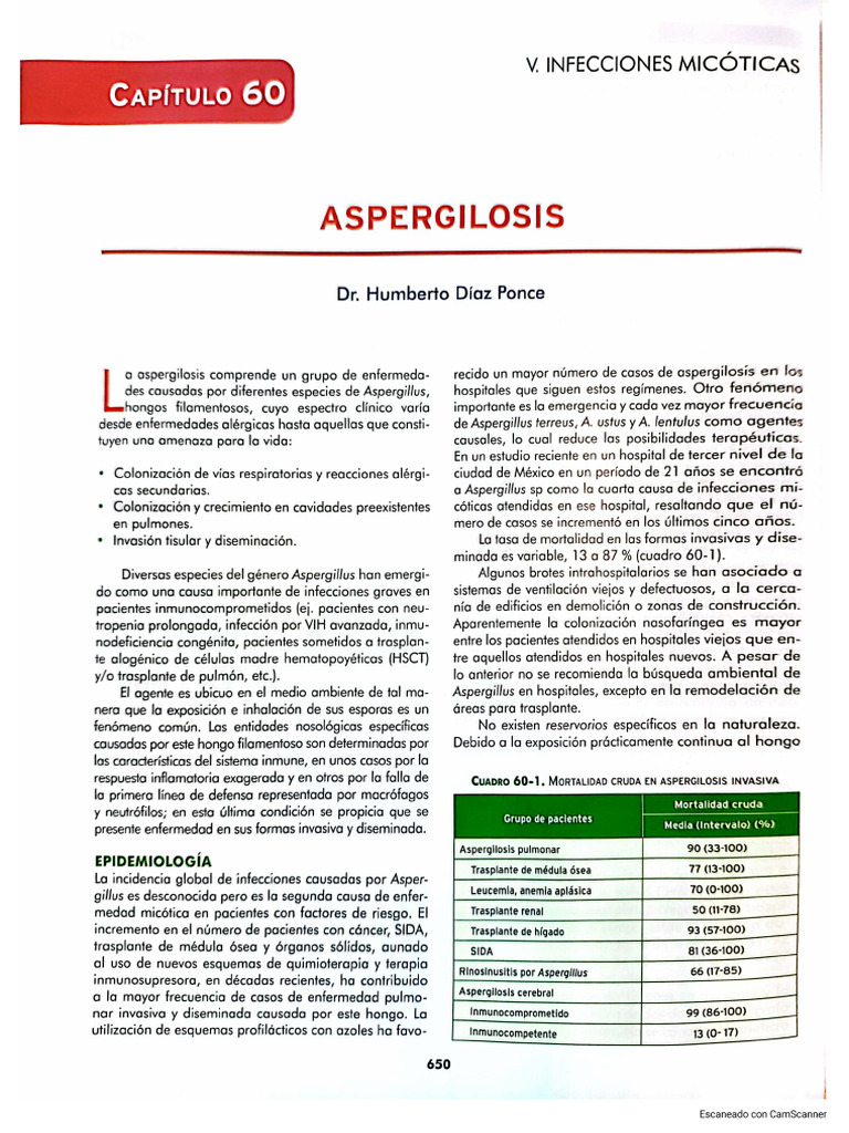 Aspergilosis | PDF