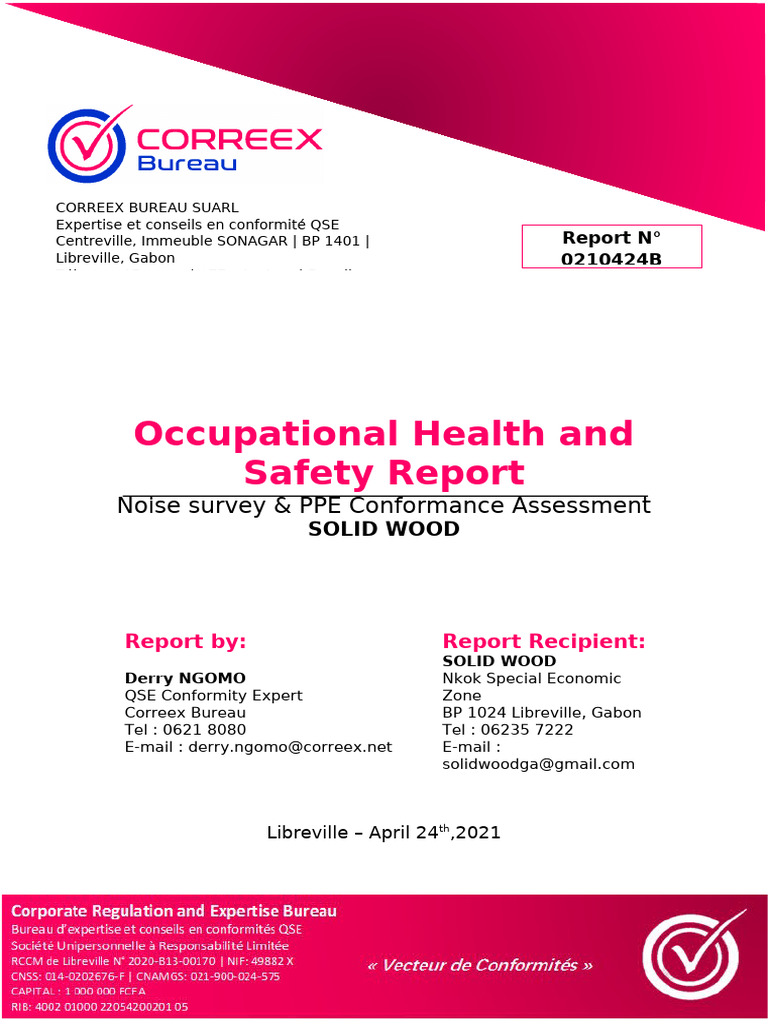 Noise and PPE Compliance Report | PDF | Personal Protective Equipment ...