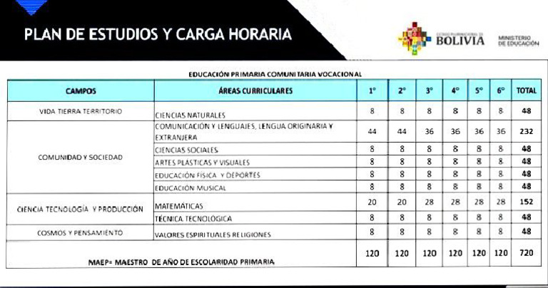 Carga Horaria 2025 Pdf
