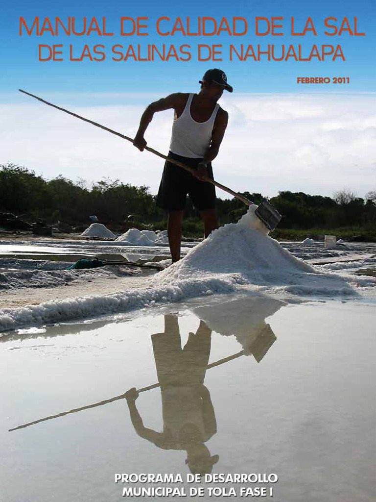 Manual de Calidad de La Sal | PDF | sal | Agua