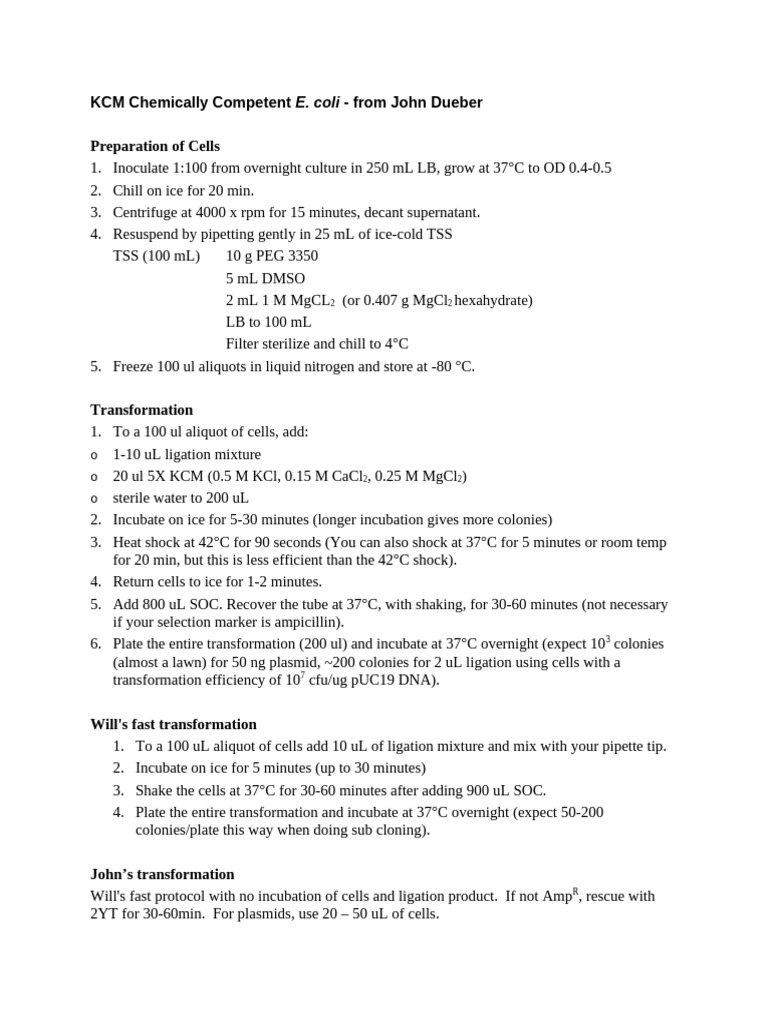 KCM Competent E. coli Transformation Protocol | PDF