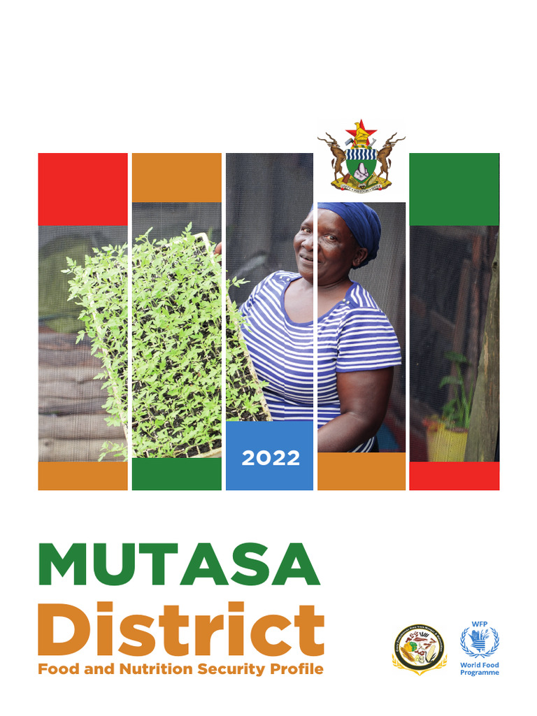 Mutasa District Profile (1) | PDF | Food Security | World Food Programme