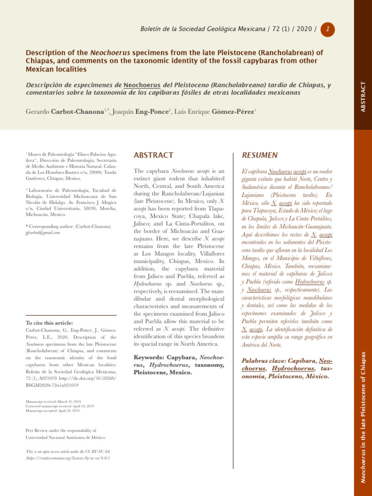 Description of The Neochoerus Specimens From The Late Pleistocene ...