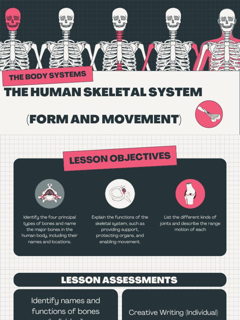 Understanding the Human Skeletal System | PDF | Human Leg | Arm