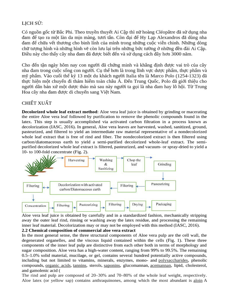 Aloe veRA | PDF