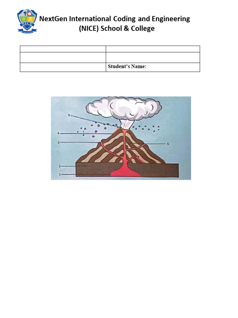 STD III Science Practice Worksheet | PDF