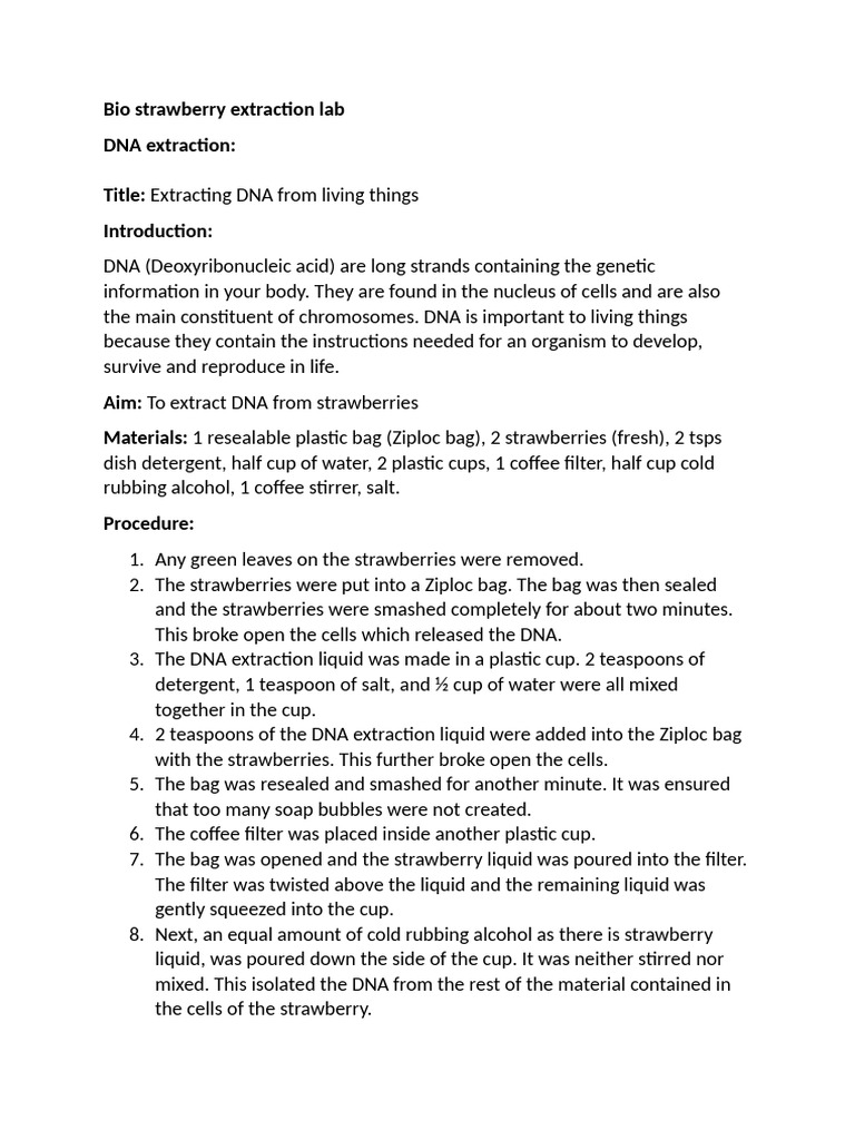 Bio Strawberry Extraction Lab | PDF | Cell (Biology) | Dna