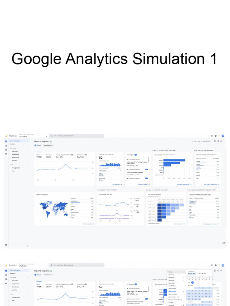 Google Analytics Simulation 1 (For Zoom Capability) | PDF