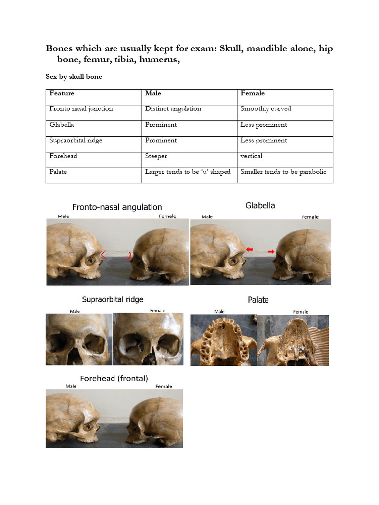 Forensic Analysis of Skeletal Remains | PDF | Pelvis | Skeletal System