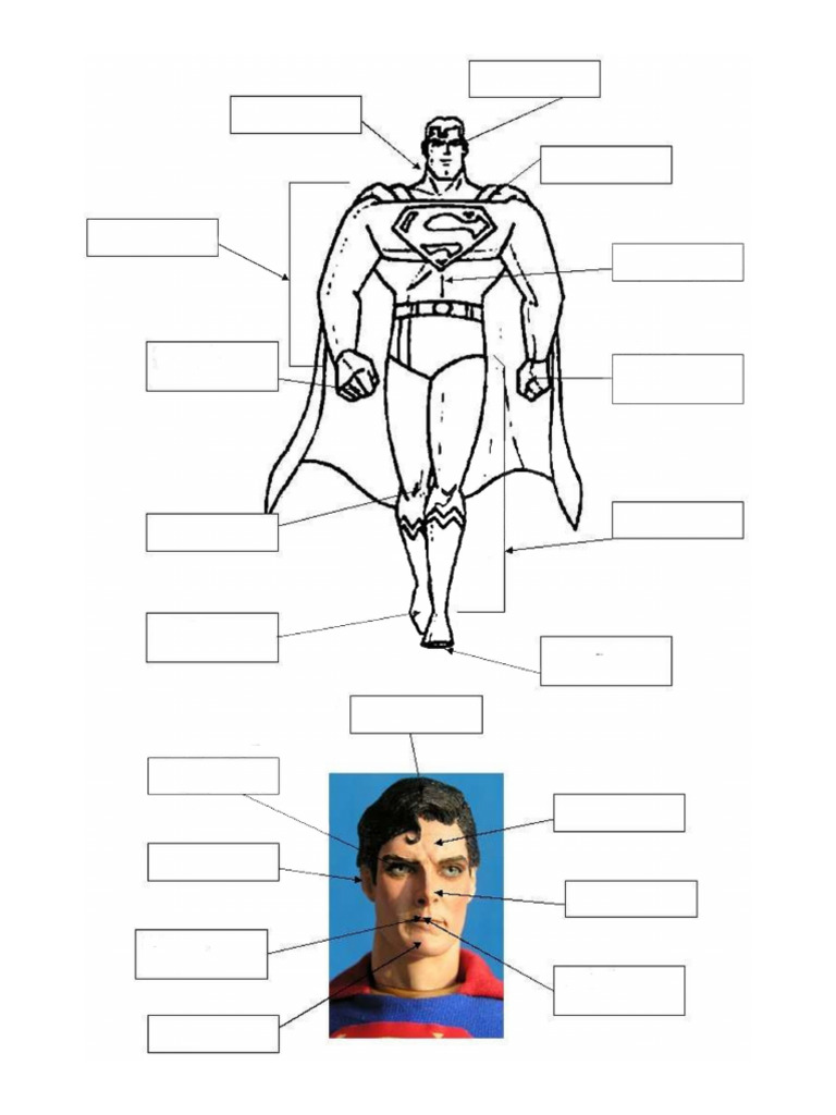Body Parts Superman | PDF