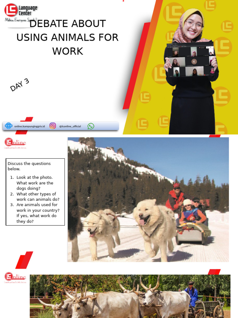 DAY3 | PDF