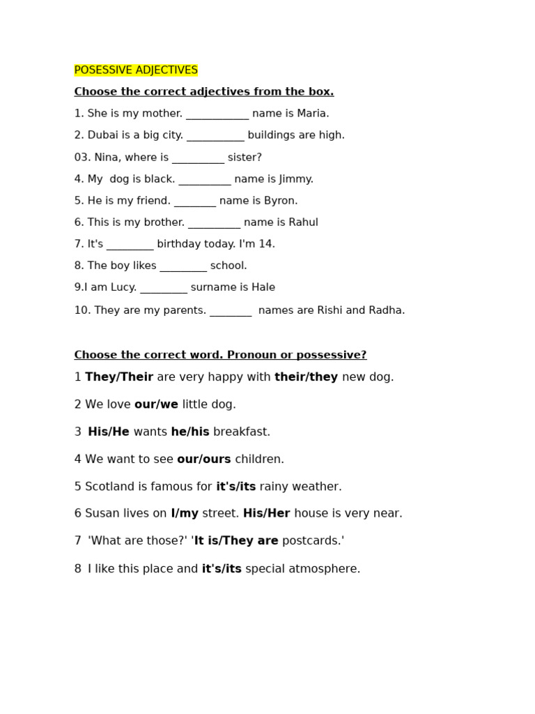 Homework Possessive Adjectives | PDF