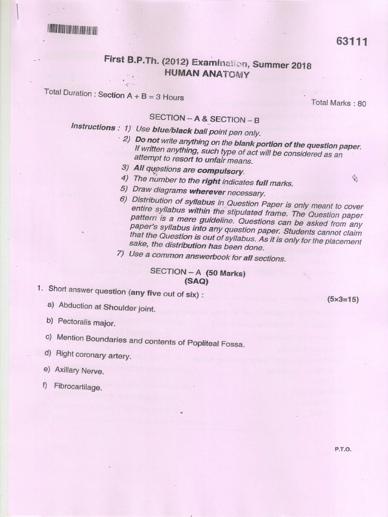 Summer 2018 Anat | PDF