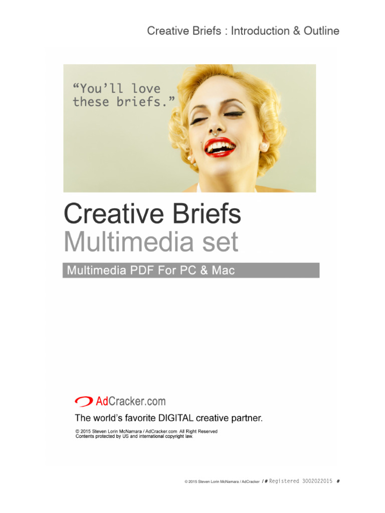 Creative Brief Set | PDF | License | Social Media