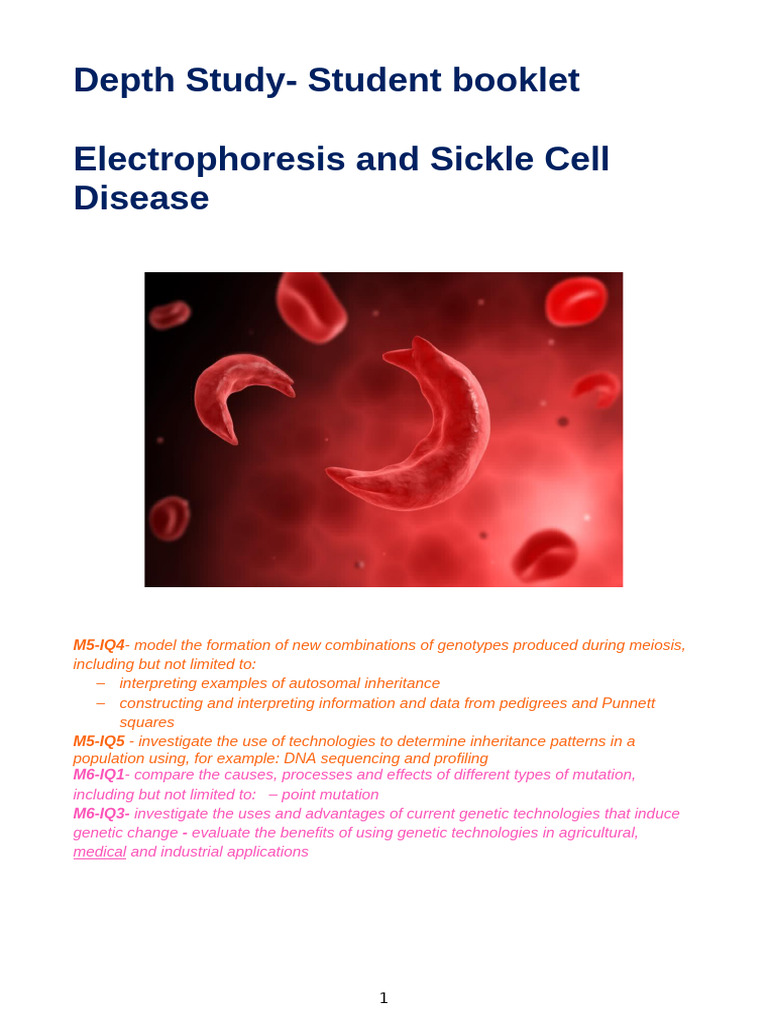 Depth Study Sickle Cell 2025 | PDF | Hematopoietic Stem Cell ...