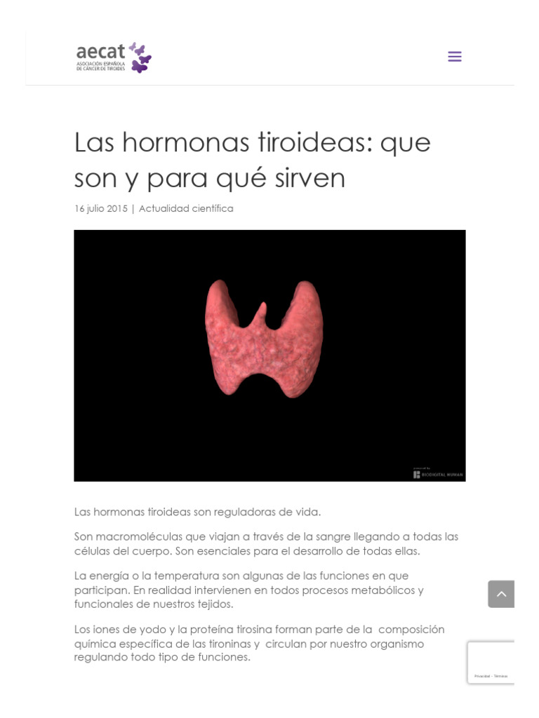 Las hormonas tiroideas_ que son y para qué sirven - AECAT | PDF ...