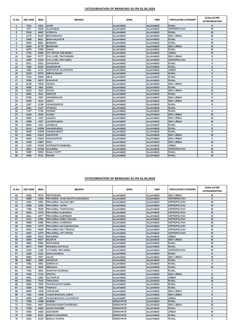 Branch Categorization Report 2024 | PDF