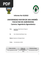 Principales Partes Del Gallo | PDF | Estudios de idiomas extranjeros