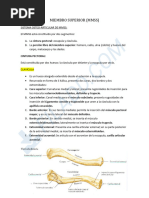 Anatomía del Cúbito: Estructura y Función | PDF | Codo | Extremidades ...