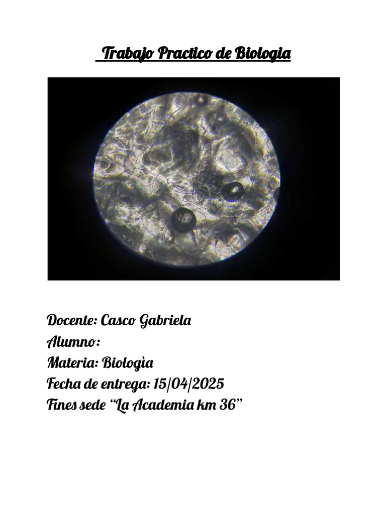 Trabajo Prâctico de Biologìa | PDF | Biología Celular) | Organismos