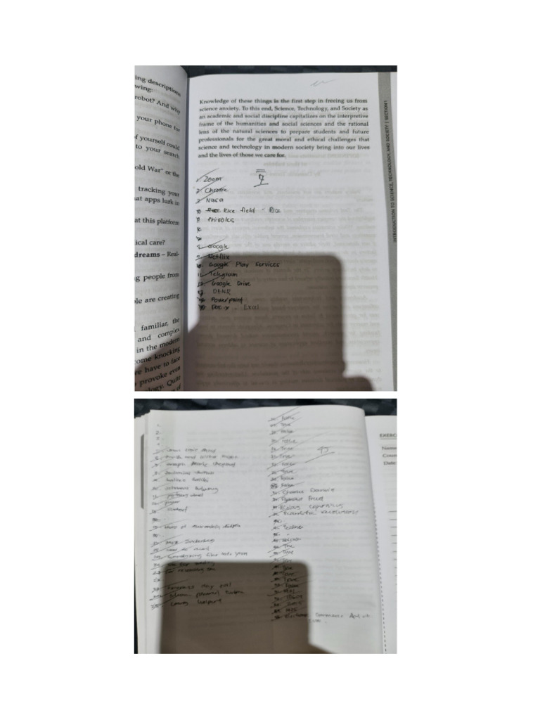 Labunog, John Paul C. (Quizzes) | PDF