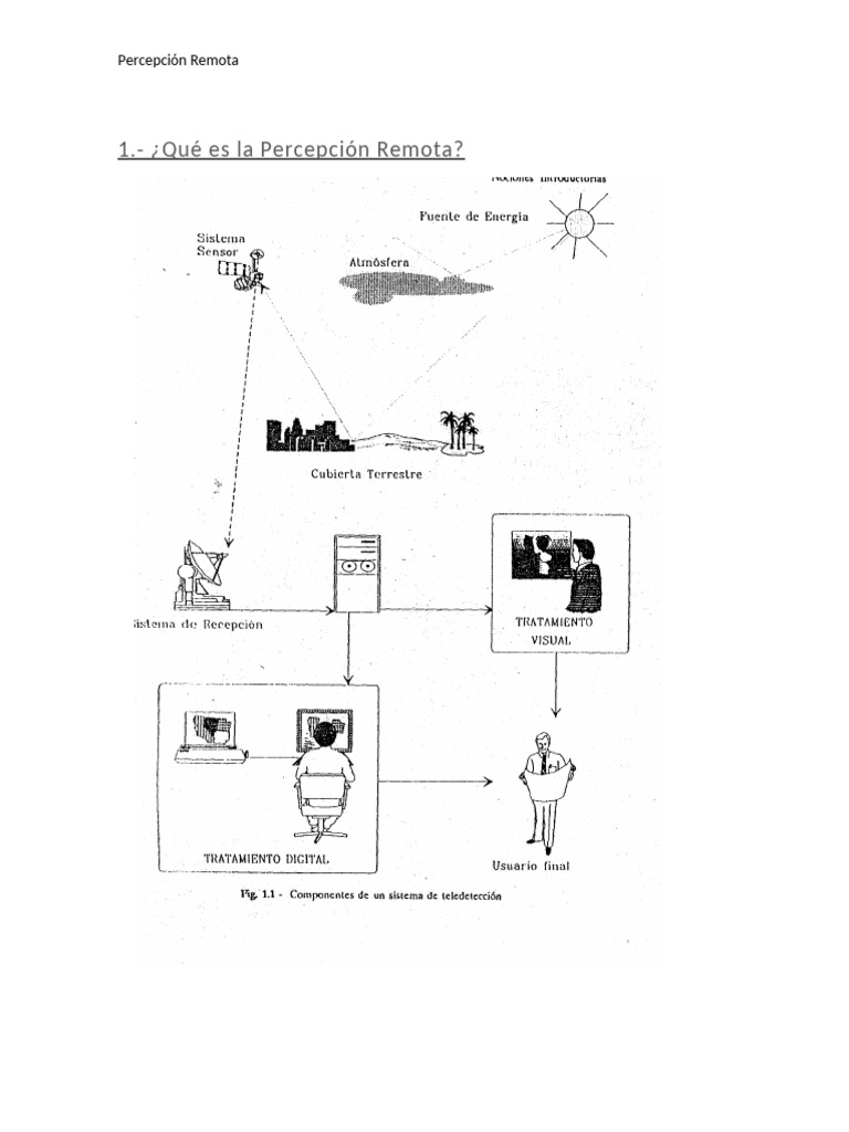 Resumen Percepcion Remota (Completo Impreso) | PDF